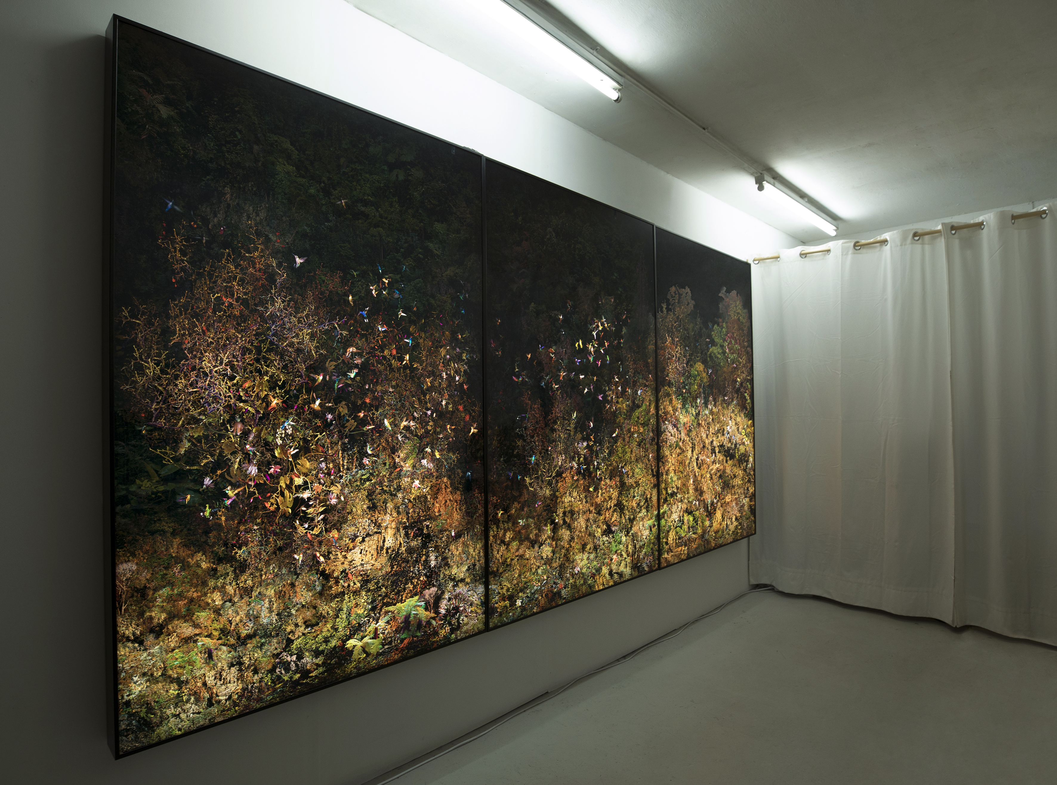 Ultra Slim Led Light Box Suppliers UK | NES Solutions